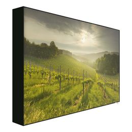 Bilderwelten Akustik-Wechselbild Sonnenstrahlen Weinberg
