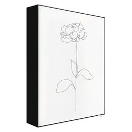 Akustik-Wechselbild Line Art Blumen - Pfingstrose