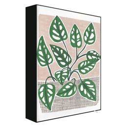 Akustik-Wechselbild Monstera im Korb