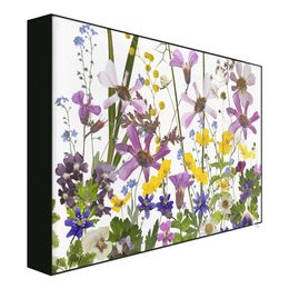Bilderwelten Akustik-Wechselbild Duftende Blumenwiese