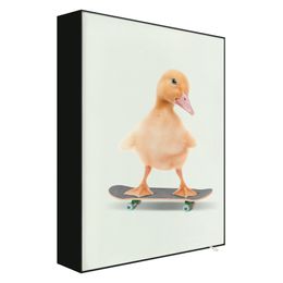 Bilderwelten Akustik-Wechselbild Skate Ente