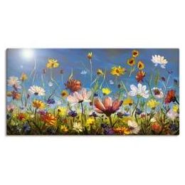 Wandbild Artland "Wildblumenwiese blauer Himmel", bunt, B:150cm H:75cm, Bilder, als Alubild, Outdoorbild, Leinwandbild, Poster, Wandaufkleber