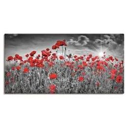 Wandbild Artland "Idyllisches Mohnblumenfeld mit Sonne", schwarz, B:150cm H:75cm, Bilder, als Alubild, Outdoorbild, Leinwandbild, Poster, Wandaufkleber