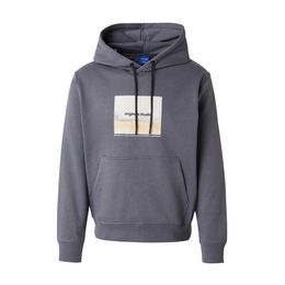 Jack & Jones Jack & Jones Sweatshirt 'JORVesterbro Newton' male Grey size XS