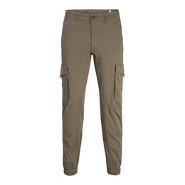 Jack & Jones Jack & Jones Cargo Pants 'JJIPaul JJFlake' male Grey size 38