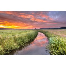 papermoon Fototapete "Fluss in Feld", B/L: 4,5mm x 2,8mm, Bahnen: 9 Stk. St., bunt, Schlafzimmer, Tapeten