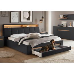 Polsterbett Inosign "CiTY/GiRON,, gepolstertes Stauraumbett, mit LED Beleuchtung", grau (anthrazit), B:210cm H:110cm L:235cm, Betten, Bettkasten mit Hundebett oder als Stauraum, klappbare Kopfteile