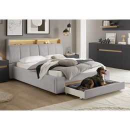 Polsterbett Inosign "CiTY/GiRON,, gepolstertes Stauraumbett, mit LED Beleuchtung", grau (hellgrau), B:170cm H:110cm L:235cm, Betten, Bettkasten mit Hundebett oder als Stauraum, klappbare Kopfteile