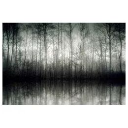 Leinwandbild queence "Der Nebel", grau, B:90cm H:60cm, Leinwand, Bilder, Akustikbild mit sehr guten Schallabsorptions-Eigenschaften