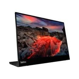 Lenovo ThinkVision M14t Gen2, LED-Monitor 35.6 cm (14 Zoll), schwarz, 2.2K, IPS, USB-C