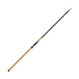 Daiwa Aqualite Tele Sensor Float 3,90m 10-35g Posenrute