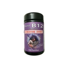 Robert Franz Vitamin B12 Pastillen, 100 Pastillen [304,00 EUR pro kg]