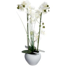 Künstliche Orchidee - Keramikvase weiß - H53 cm Atmosphera Créateur D'intérieur