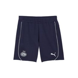 Puma Workout Pants male Blue size L