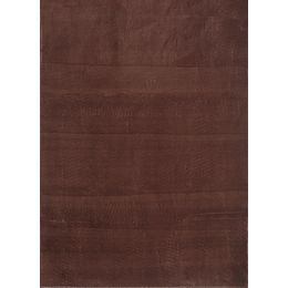 Ayyildiz Teppich, CATWALK 2600, BROWN, 120 x 160 cm