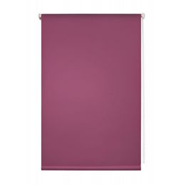 LICHTBLICK Thermo-Rollo Klemmfix, ohne Bohren, Verdunkelung - Fuchsia, 80 cm x 220 cm (B x L)