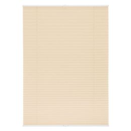 LICHTBLICK Plissee Klemmfix, ohne Bohren, verspannt - Creme, 45 cm x 130 cm (B x L)