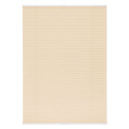 LICHTBLICK Plissee Klemmfix, ohne Bohren, verspannt - Creme, 60 cm x 210 cm (B x L)