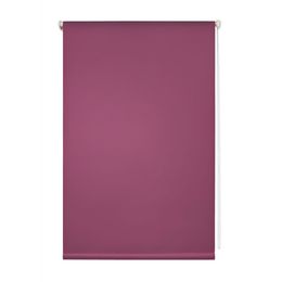 LICHTBLICK Thermo-Rollo Klemmfix, ohne Bohren, Verdunkelung - Fuchsia, 80 cm x 150 cm (B x L)