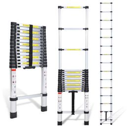 Tolletour - Teleskopleiter Alu Leichtgewicht Rutschfester Anlegeleiter 3,2m Silber Multifunktionsleiter Mehrzweckleiter Ausziehbare Leiter 15 Stufe