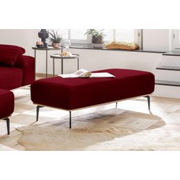 Polsterhocker W.Schillig "run", rot (merlot w82), B:150cm H:46cm T:60cm, Flachgewebe W82 Q2 (74% Polyacryl, 26% Polyester), Hocker, Polsterhocker, mit Holzsockel, F&uuml;&szlig;e in Schwarz pulverbeschichtet, Breite 150 cm