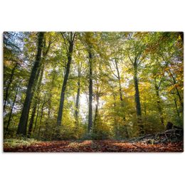 Leinwandbild Artland "Laubwald zum Herbst", grün, B:120cm H:80cm, Canvas, Leinwand, Bilder, auf Keilrahmen gespannt