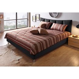 Polsterbett, schwarz, B:190cm L:210cm, Bezug Bett: Microfaser (100% Polyester);Bonnell-Federkernmatratze: Mischgewebe (51% Polyprophlen, 39% Polyester, 10% Baumwolle);Kaltschaummatratze: Frottee (100% Polyester), Bezug abnehm- und waschbar bis 60C, Westfalia Schlafkomfort, Betten, Polsterbett