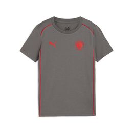 Trainingsshirt Puma "FCSP CASUALS TEE JR" Gr. 128, flat medium gray, Puma rot, Kinder, Jersey, Obermaterial: 100% Baumwolle, unifarben, Shirts