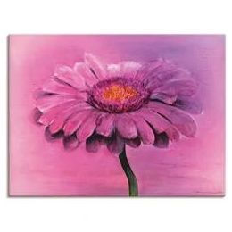 Leinwandbild Artland "Gerbera", pink, B:120cm H:90cm, Canvas, Leinwand, Bilder, auf Keilrahmen gespannt