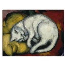 Wandbild Artland "Die weisse Katze. 1912", weiß, B:120cm H:90cm, Bilder, als Alubild, Outdoorbild, Leinwandbild, Poster in verschied. Größen