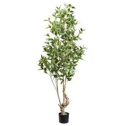 Kunstbaum Creativ green "Laurus nobilis", grün, H:195cm, Kunstpflanzen, in toller Größe