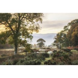papermoon Fototapete "LANDSCHAFT-NATUR B&Auml;UME BERGE GEBIRGE WALD DSCHUNGEL XXL", B/L: 4,5mm x 2,8mm, Bahnen: 9 Stk. St., bunt, Schlafzimmer, Tapeten