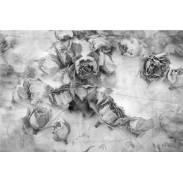 papermoon Fototapete "Rosen Schwarz & Wei&szlig;", B/L: 3,5mm x 2,6mm, Bahnen: 7 Stk. St., schwarz, Schlafzimmer, Tapeten