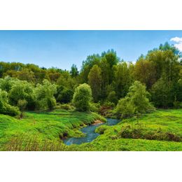 papermoon Fototapete "FLUSS IM WALD-BAUM NATUR DSCHUNGEL SONNE WEG WASSERFALL", B/L: 3,5mm x 2,6mm, Bahnen: 7 Stk. St., bunt, Schlafzimmer, Tapeten