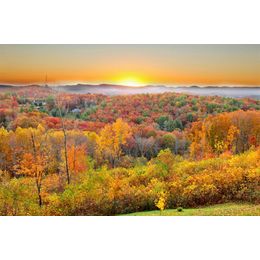 papermoon Fototapete "Waldlandschaft", B/L: 4,5mm x 2,8mm, Bahnen: 9 Stk. St., bunt, Schlafzimmer, Tapeten