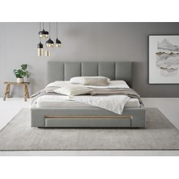 Polsterbett Inosign, B:210cm H:96cm L:220cm, silber, Betten, "CiTY/GiRON, Bettgestell mit Bettkasten, gepolstertes Stauraumbett", mit Hundebett oder