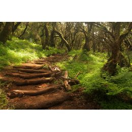 papermoon Fototapete "TROPISCHER WALD-BAUM DSCHUNGEL SONNE WEG WASSERFALL", B/L: 3,5mm x 2,6mm, Bahnen: 7 Stk. St., bunt, Schlafzimmer, Tapeten