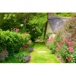 papermoon Fototapete "GARTEN-BLUMEN B&Auml;UME PFLANZEN STEINE WALD PERGOLA BL&Uuml;TEN", B/L: 2,5mm x 1,86mm, Bahnen: 5 Stk. St., bunt, Schlafzimmer, Tapeten
