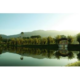papermoon Fototapete "LANDSCHAFT-NATUR B&Auml;UME WALD PALMEN PFLANZEN SEE BERGE", B/L: 4,5mm x 2,8mm, Bahnen: 9 Stk. St., bunt, Schlafzimmer, Tapeten
