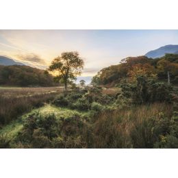 papermoon Fototapete "LANDSCHAFT-NATUR B&Auml;UME BERGE GEBIRGE WALD DSCHUNGEL XXL", B/L: 3mm x 2,23mm, Bahnen: 6 Stk. St., bunt, Schlafzimmer, Tapeten
