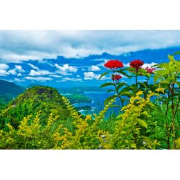 papermoon Fototapete "INSEL-SEYCHELLEN BLUMEN K&Uuml;STE GEBIRGE MEER PANORAMA", B/L: 4mm x 2,6mm, Bahnen: 8 Stk. St., bunt, Schlafzimmer, Tapeten