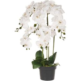 Beliani - Kunstpflanze Orchidee Weiß u. Grün 63 cm im Blumentopf Künstlich Indoor Dekoration Wohnaccessoires