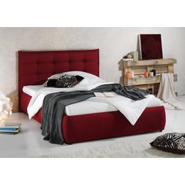 Polsterbett Maintal, rot, B:158cm L:210cm, Betten, Polsterbett