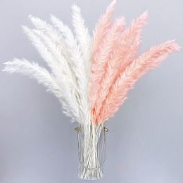 30 Stück, 40 cm, getrocknetes künstliches Pampasgras – Bohemian-Stil – Heimdekoration – Phragmites – Trockenblumen – für Vasen, weißer Blumenstrauß –