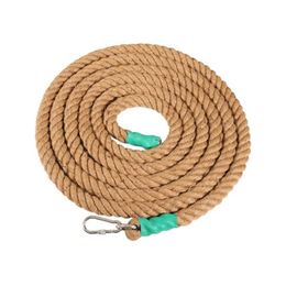 30mmx3m Kletterseil mit Karabiner, Power Training Battle Rope – Seil für Muskeltraining, Krafttraining