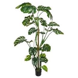 Kunstbaum Creativ green "Splitphilodendron", grün, H:180cm Ø:26cm, Kunststoff, Kunstpflanzen