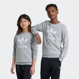 Sweatshirt adidas originals "TREFOIL CREW", Kinder, Gr. 164, grau (medium grau heather), Obermaterial: 70% Baumwolle, 30% Polyester, sportlich, Rundhals, Sweatshirts