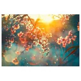 Leinwandbild queence "Cherry Blossom", blau, B:90cm H:60cm, Leinwand, Bilder, Akustikbild mit sehr guten Schallabsorptions-Eigenschaften