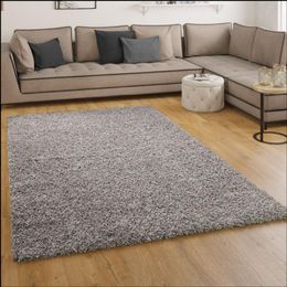 Shaggy Hochflor Langflor Teppich Sky Einfarbig in Grau ø 160 cm Rund - Paco Home