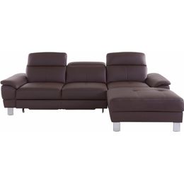 Ecksofa, B:270cm H:94cm T:175cm, braun, exxpo - SOFA FASHION, Kunstleder SOFTLUX;NaturLEDER (echtes Rindsleder) in Sitz und Rücken. Korpus in